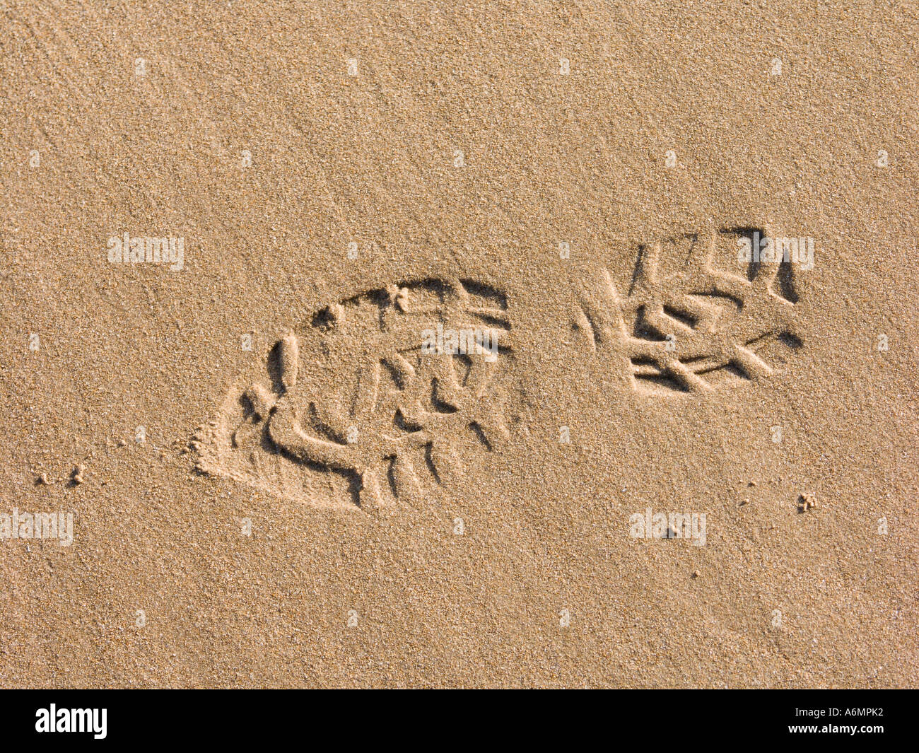 Trainer footprint in sand Stock Photo - Alamy