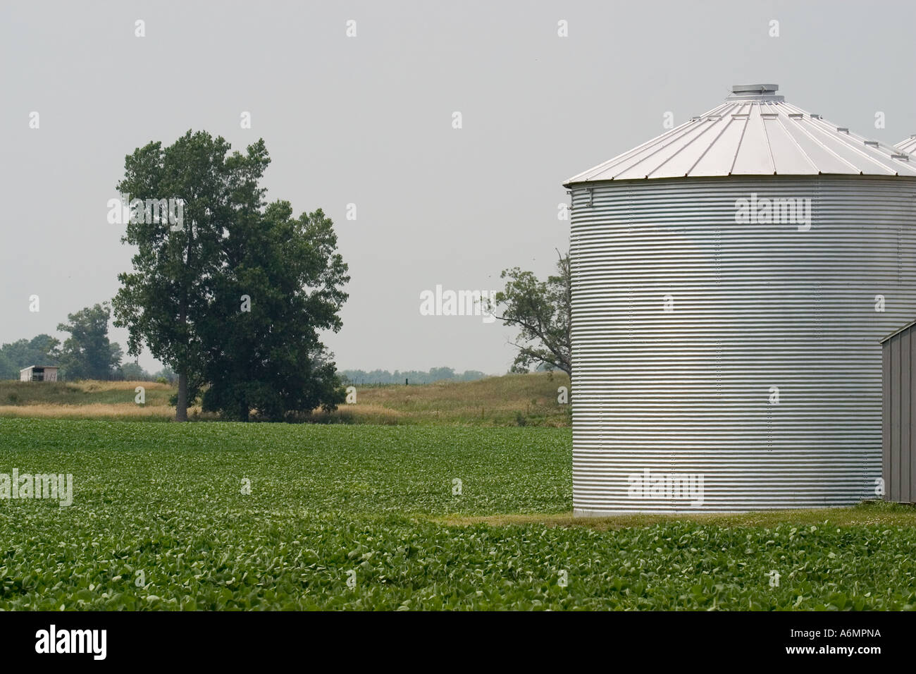 A landscape portrait of a steel grain silo Stock Photo - Alamy