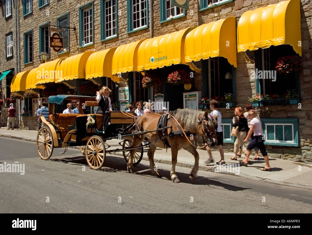 Carriage rides are a common sight in Quebec City, Quebec, Canada Stock ...