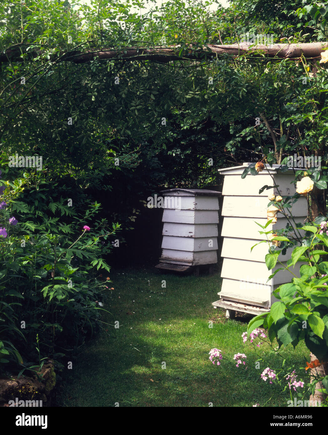 Beehives hi-res stock photography and images - Alamy