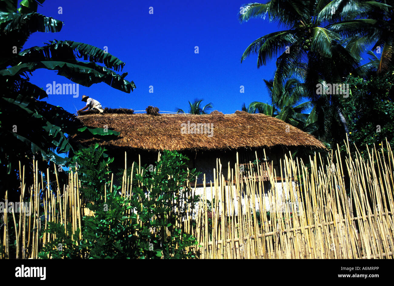 nipa roof thatching, palawan, philippines Stock Photo - Alamy