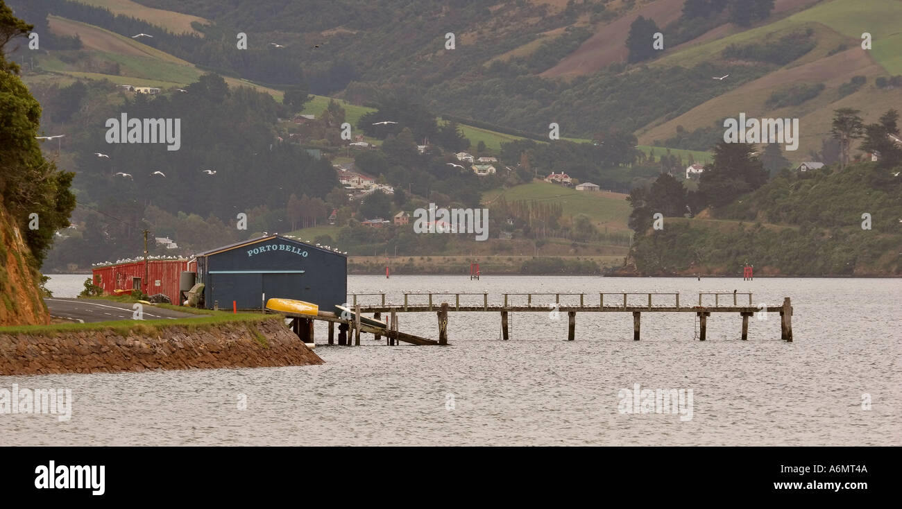 Portobello new zealand hi-res stock photography and images - Alamy