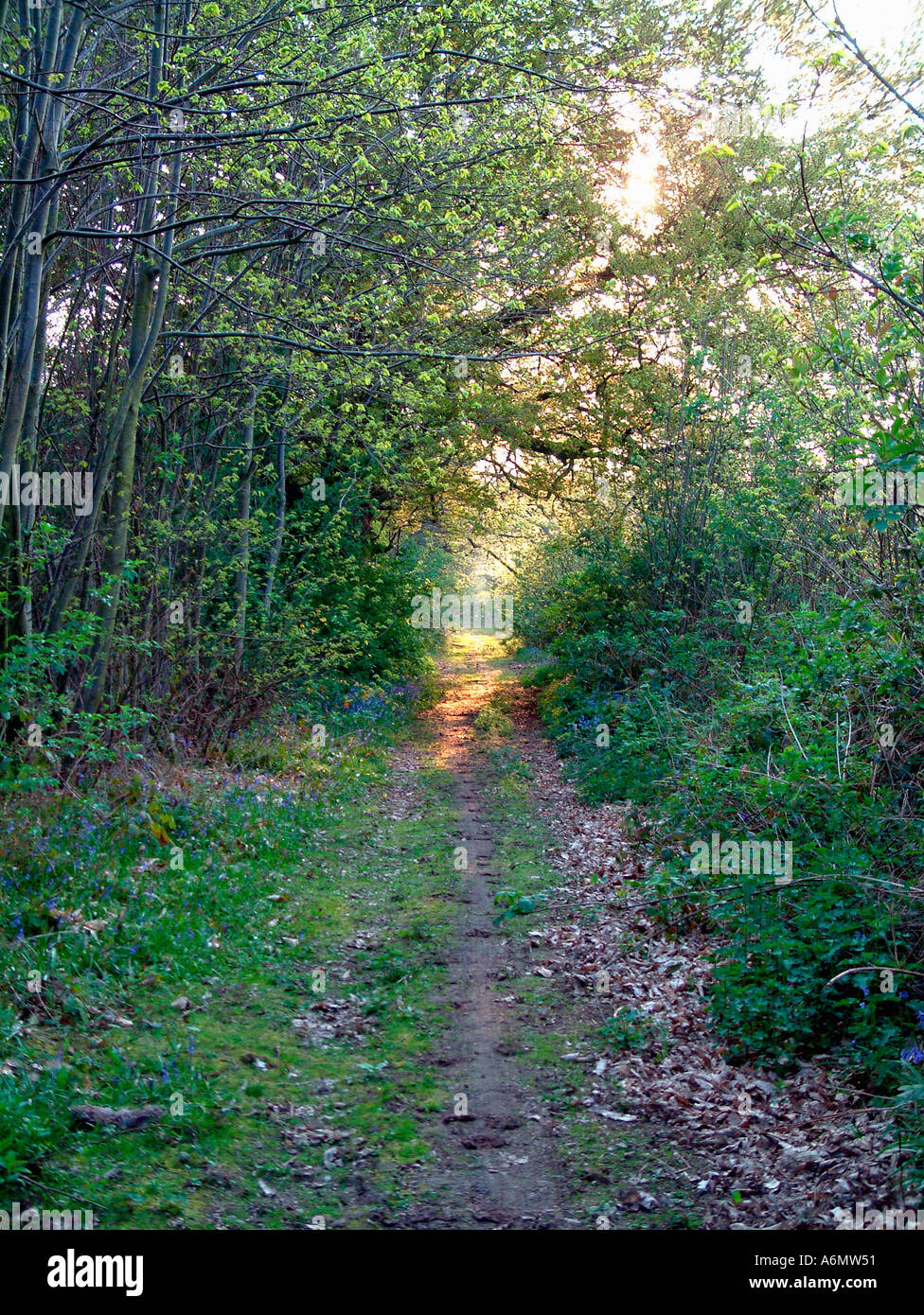 Rural path symbolism hi-res stock photography and images - Alamy