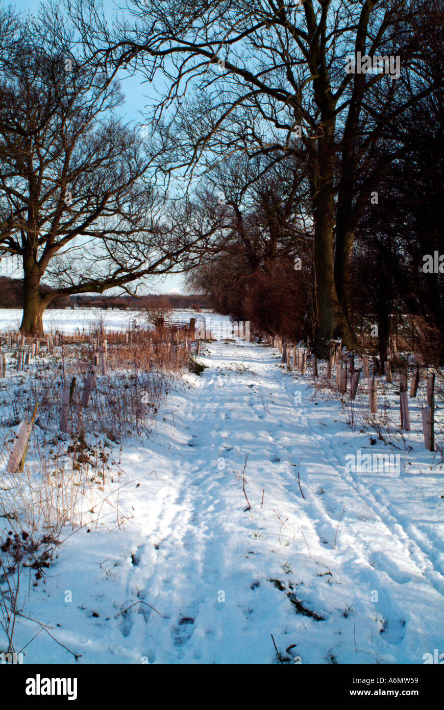 Leisure walking frost exercise outdoors weather cold hi-res stock ...