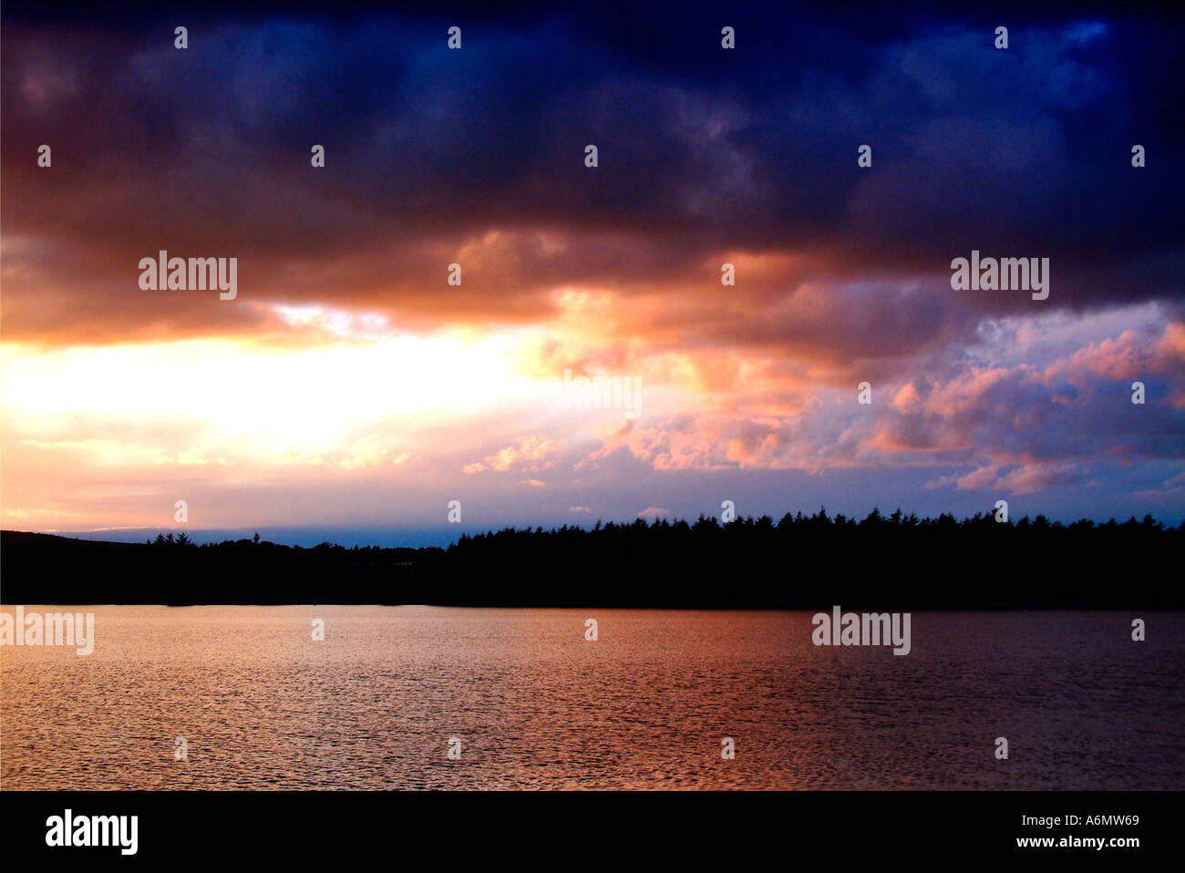 Pollaphuca hi-res stock photography and images - Alamy