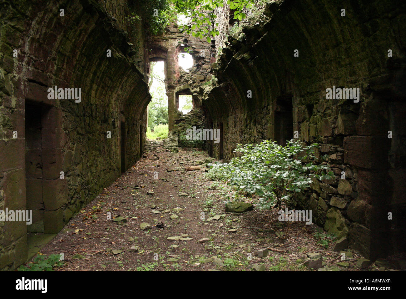 Drochil castle ruin, Scotland Stock Photo - Alamy