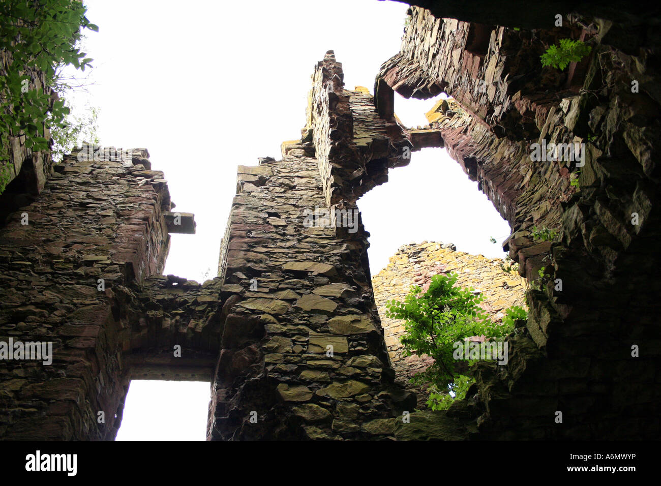 Drochil castle ruin, Scotland Stock Photo - Alamy