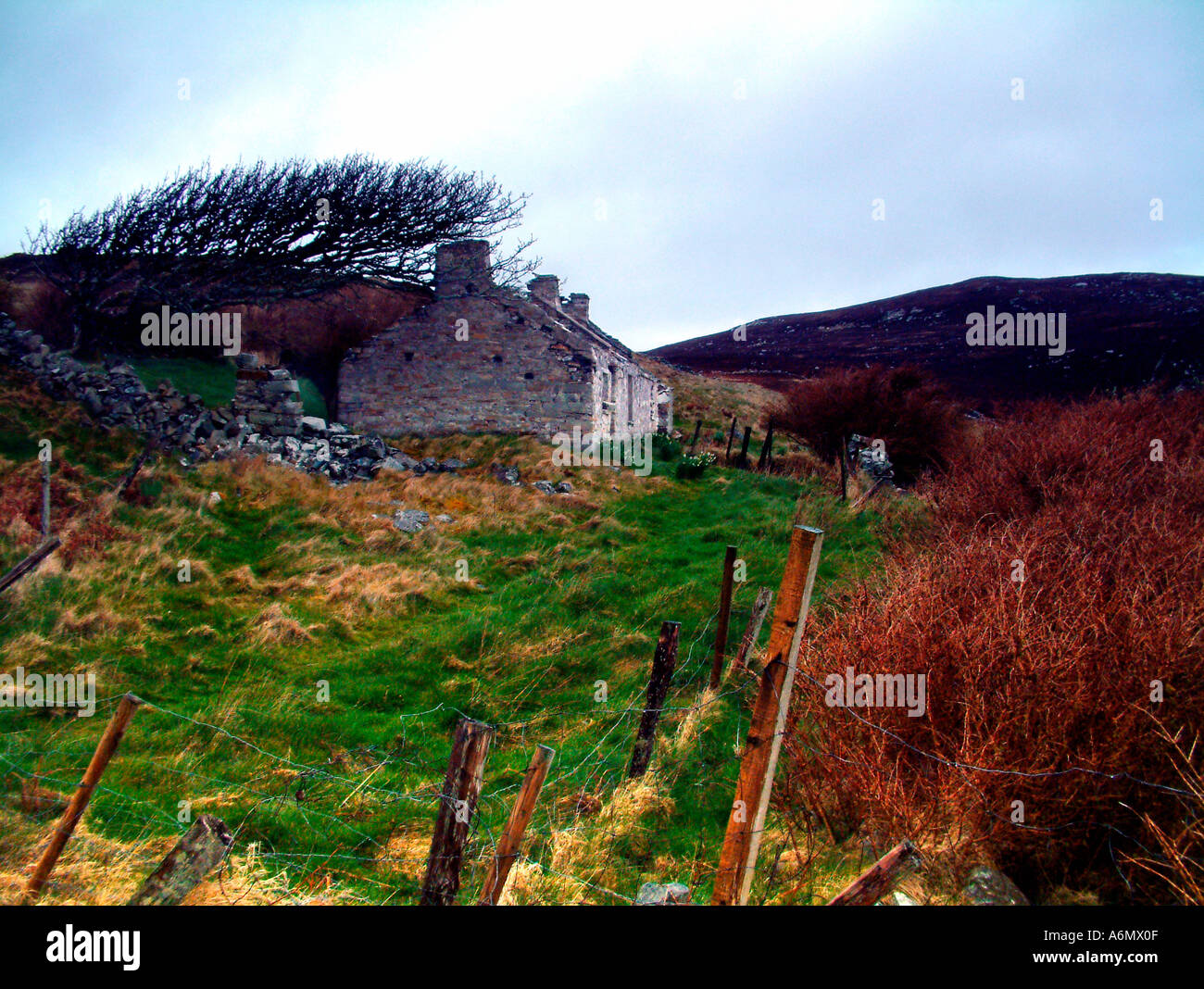 Stone Cottage Ireland Stock Photo - Alamy