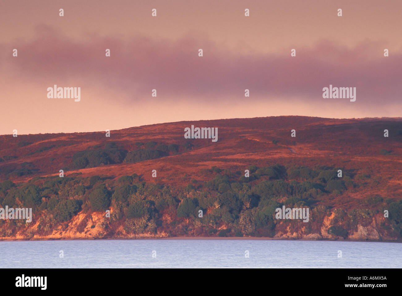 Coastal fog at sunrise over land and calm water Point Reyes Tomales Bay ...