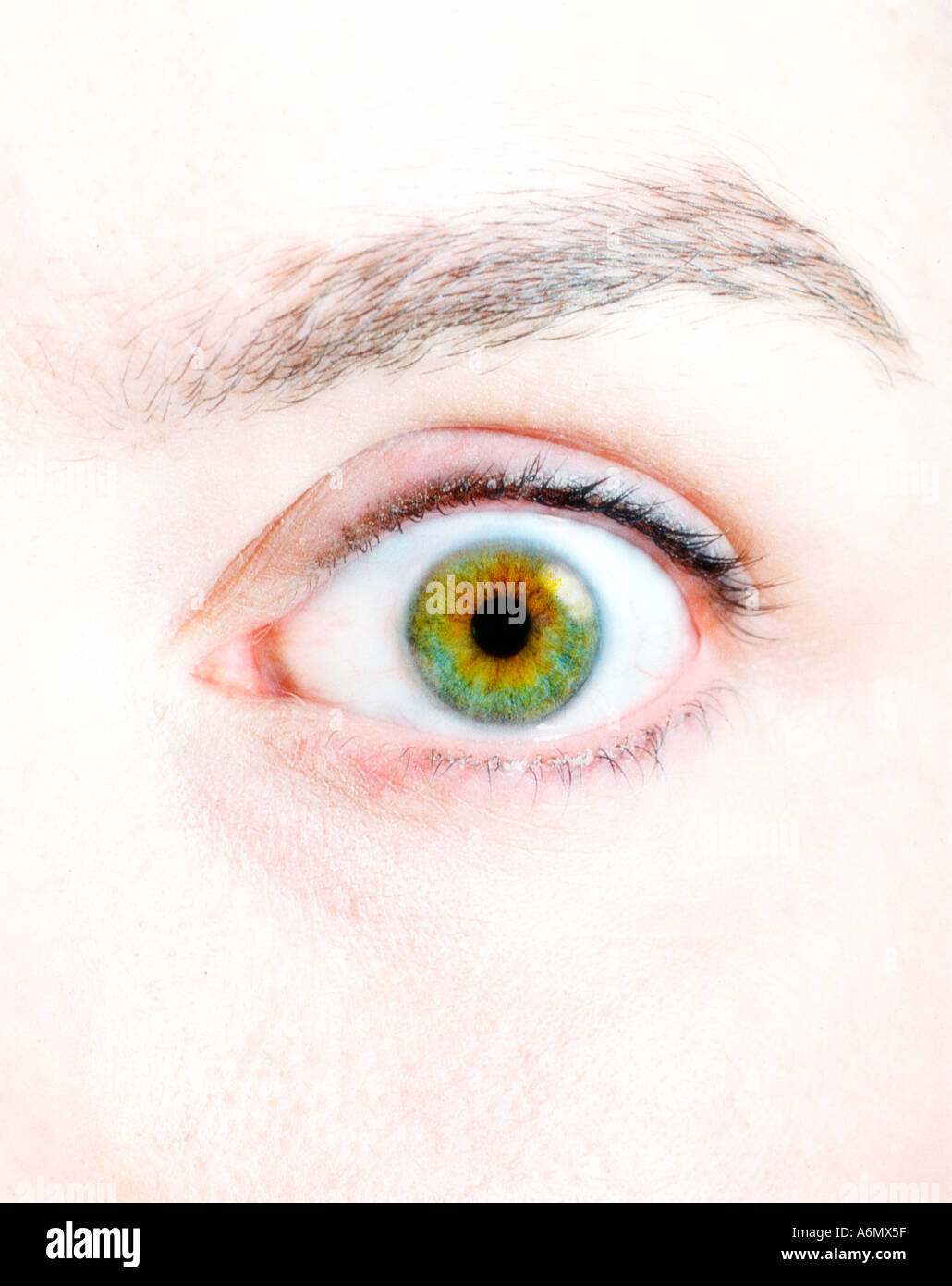 Eye anatomy optics hi-res stock photography and images - Alamy