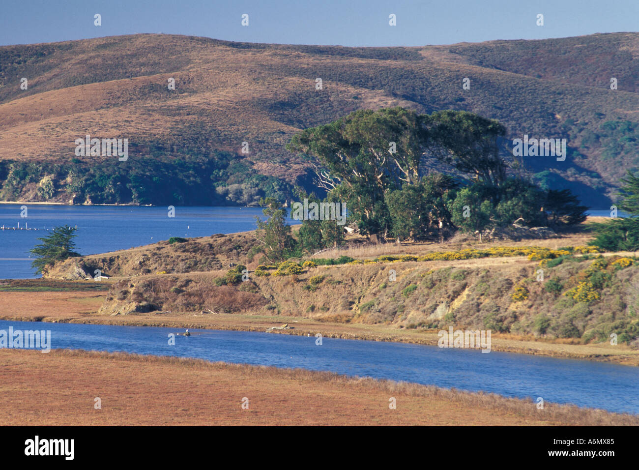 Tidal estuary and rolling hills in summer at Tomales Bay near Point ...
