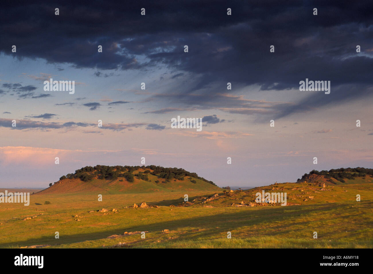 Cumulus clouds over prairie hi-res stock photography and images - Alamy