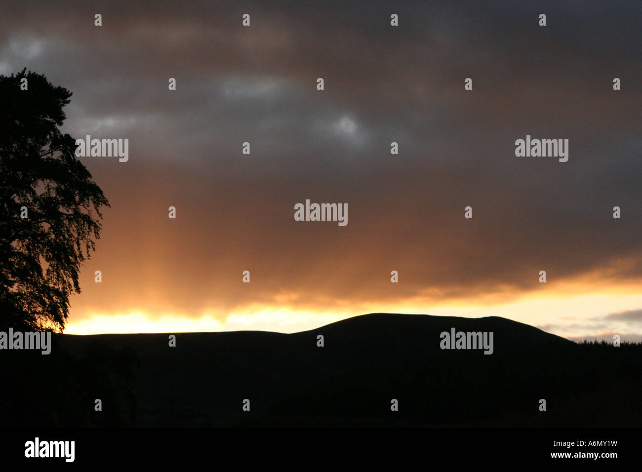 Dramatic opening in evening sky, sunlit horizon silhouette and tree ...