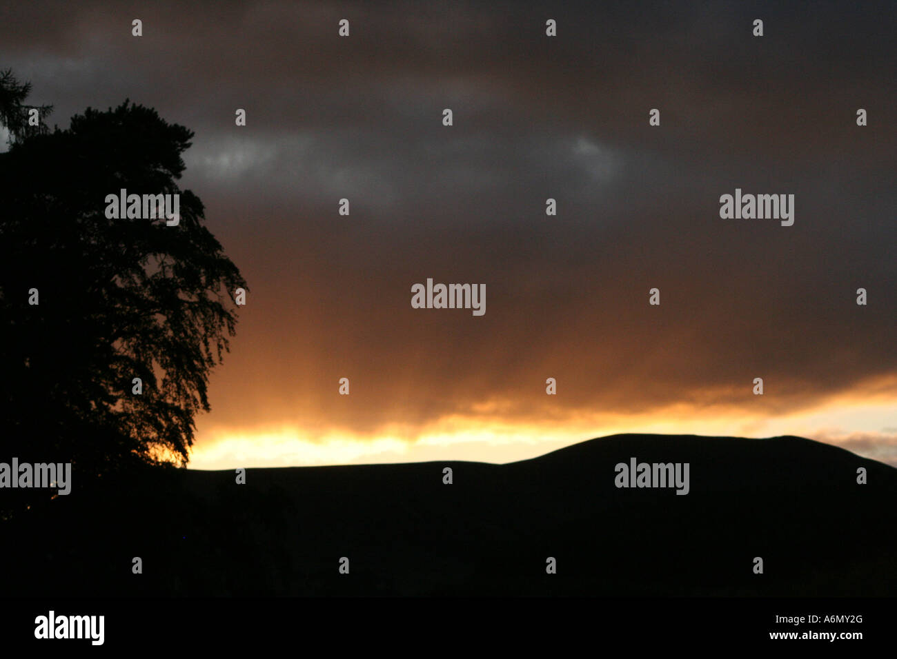Dramatic opening in evening sky, sunlit horizon silhouette and tree ...