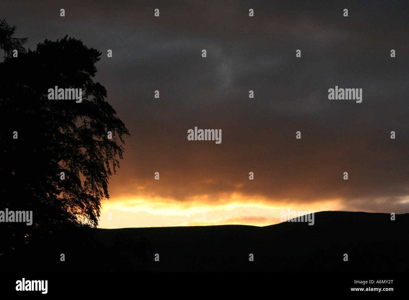Dramatic opening in evening sky, sunlit horizon silhouette and tree ...