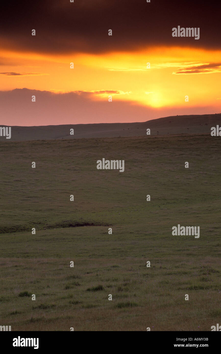 Sunset and clouds over green grass pasture field in spring Merced ...