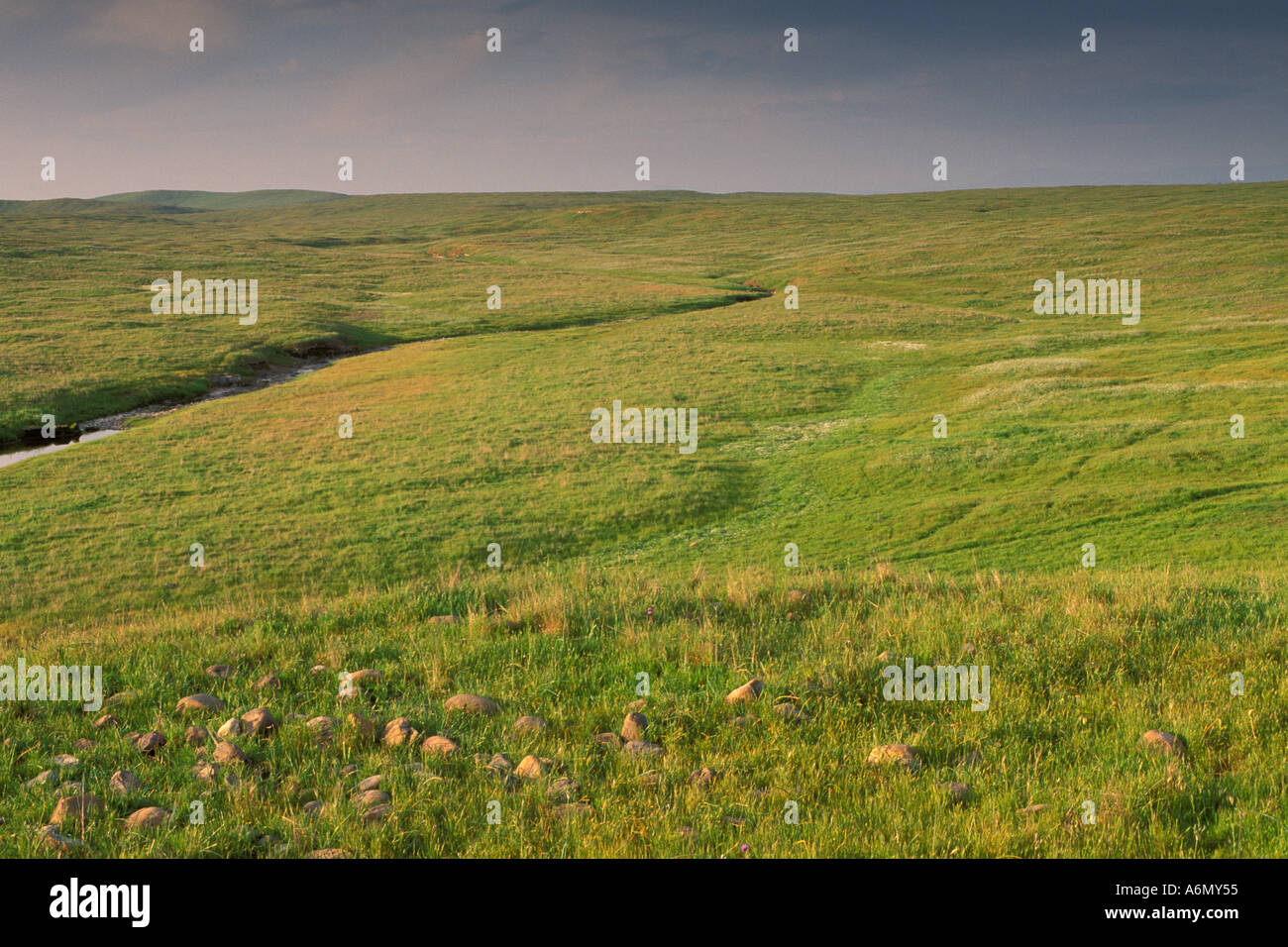 Land open short grass green hi-res stock photography and images - Alamy