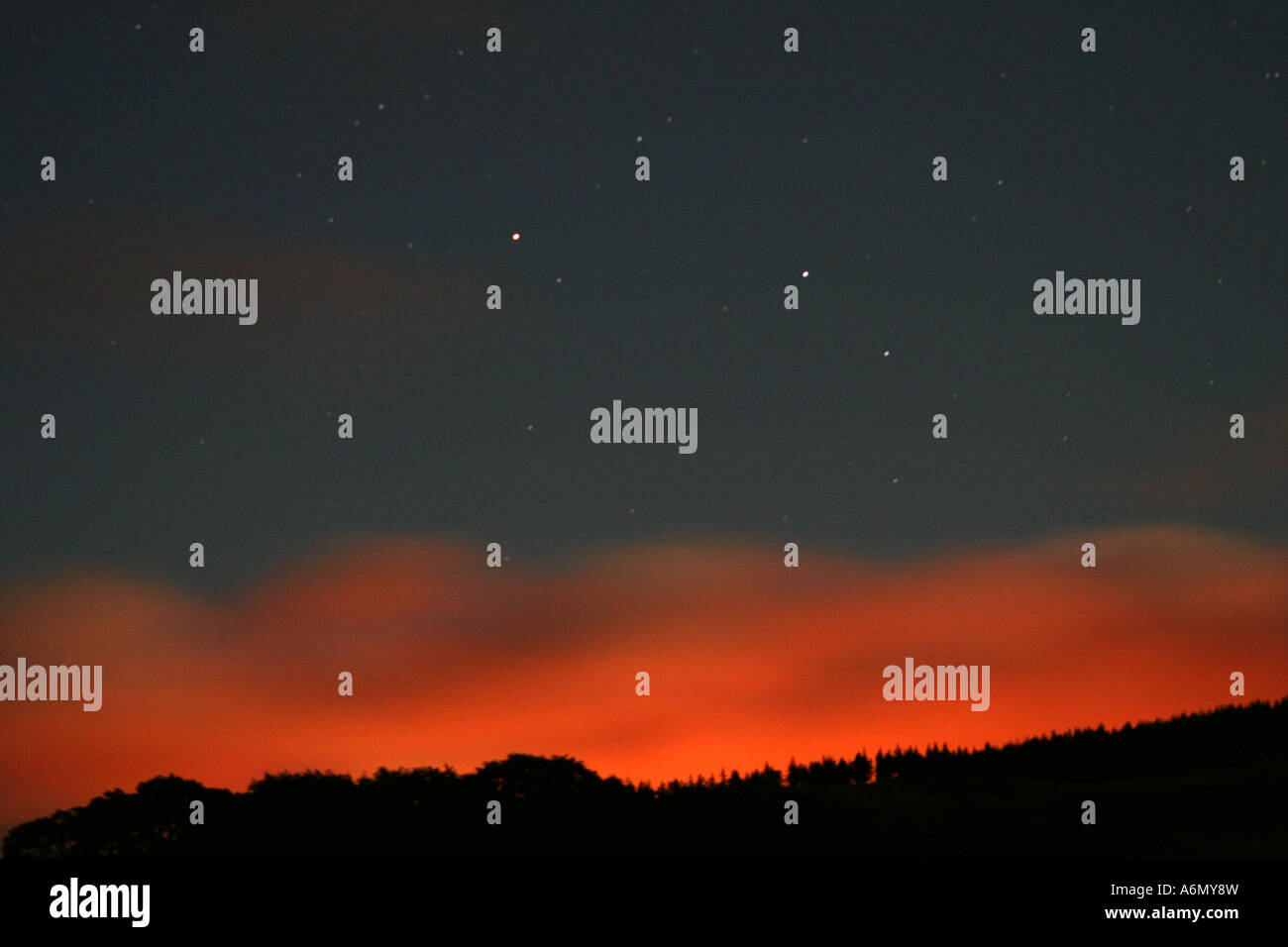 Dramatic opening in evening sky, sunlit horizon silhouette and tree ...
