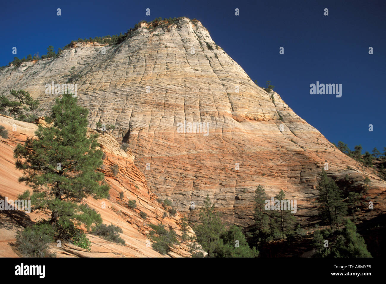 Sunset on sandstone rock cliffs at Checkerboard Mesa along the Zion Mt ...