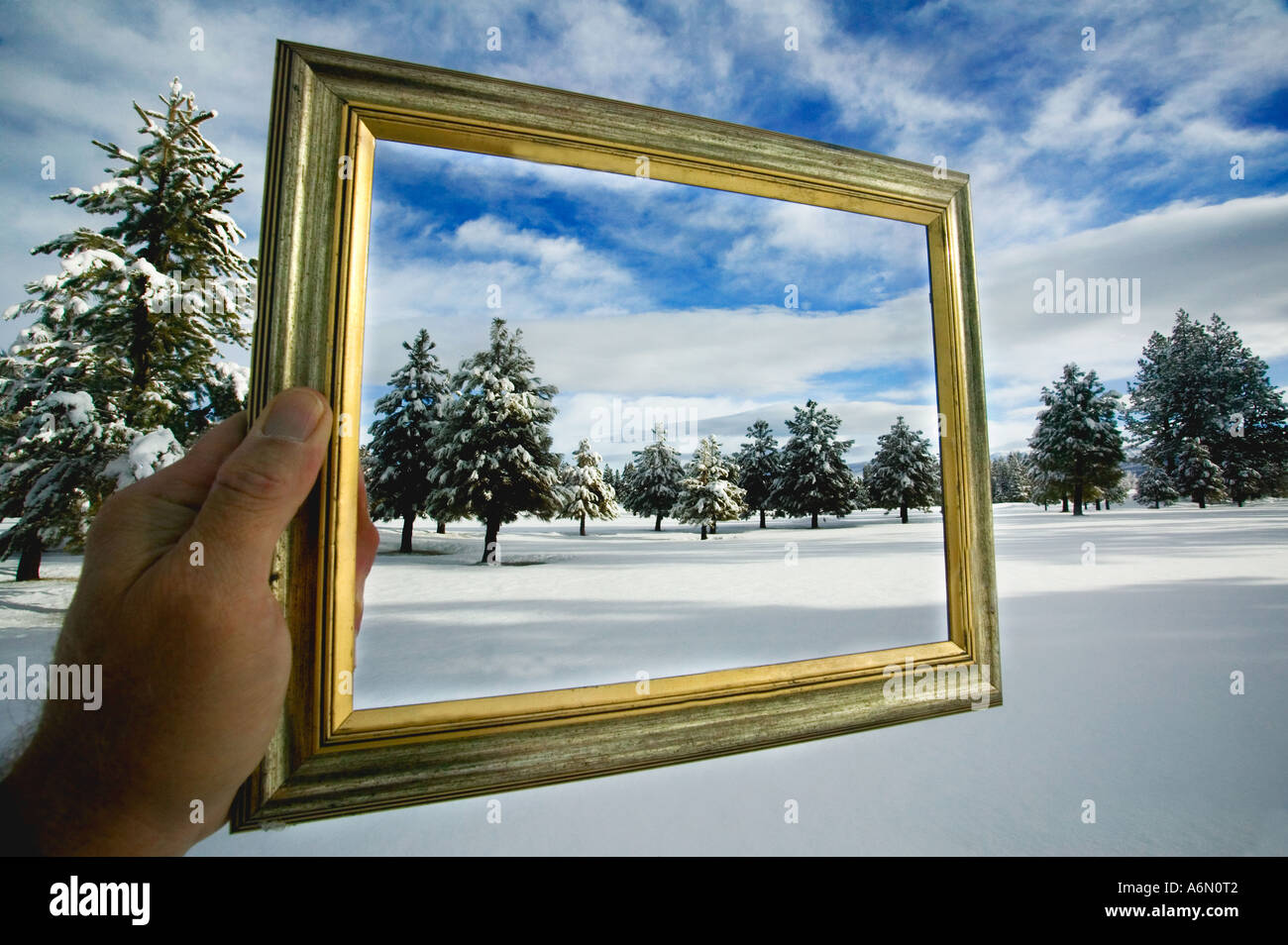 Hand in frame hi-res stock photography and images - Alamy