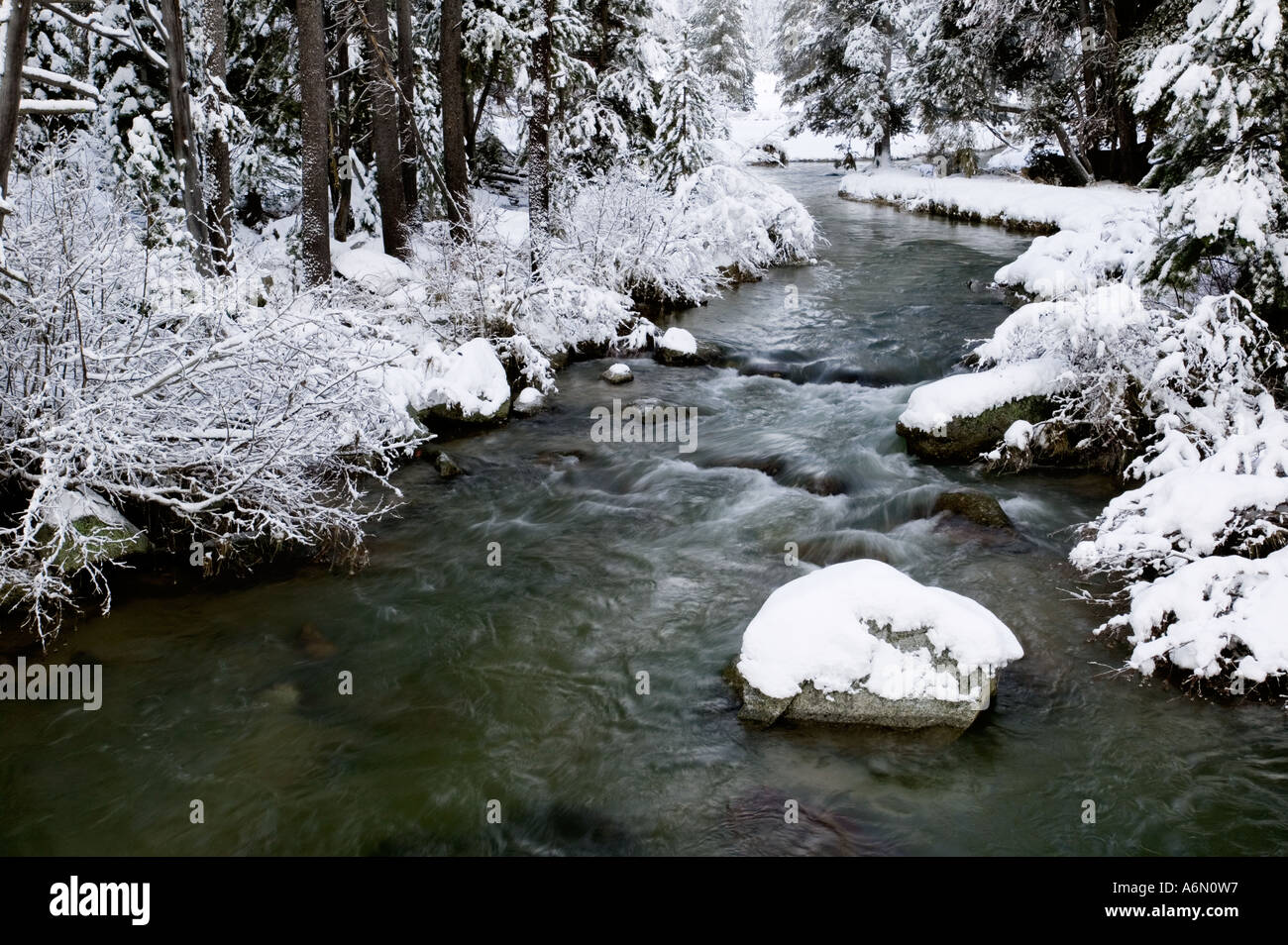 river with fresh snow Stock Photo - Alamy