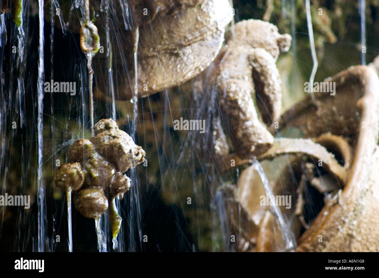 The Petrifying Well at Mother Shiptons Cave Knaresborough North ...