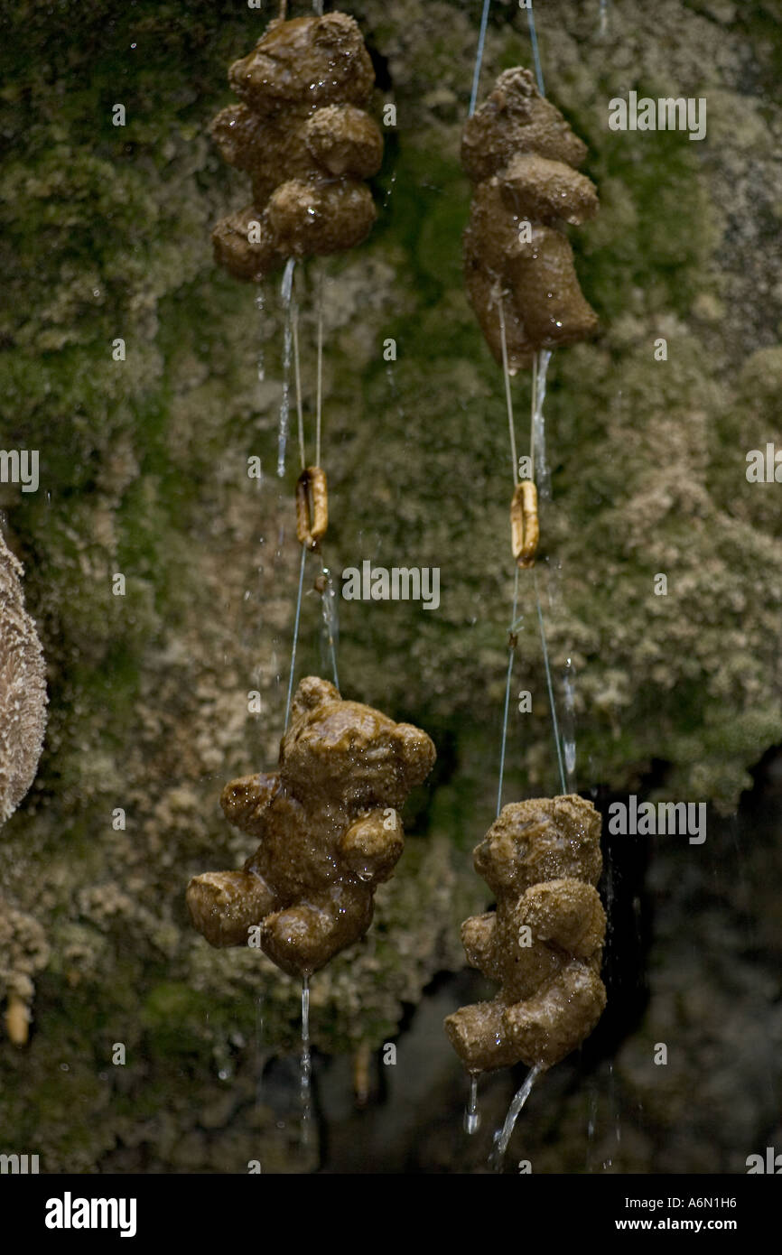 The Petrifying Well at Mother Shiptons Cave Knaresborough North ...