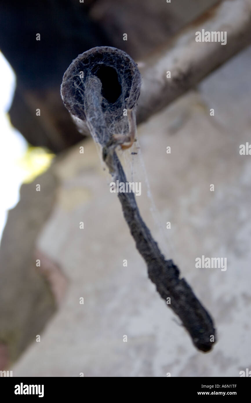 An old pipe with broken wire and cobwebs abstract architecture showing ...