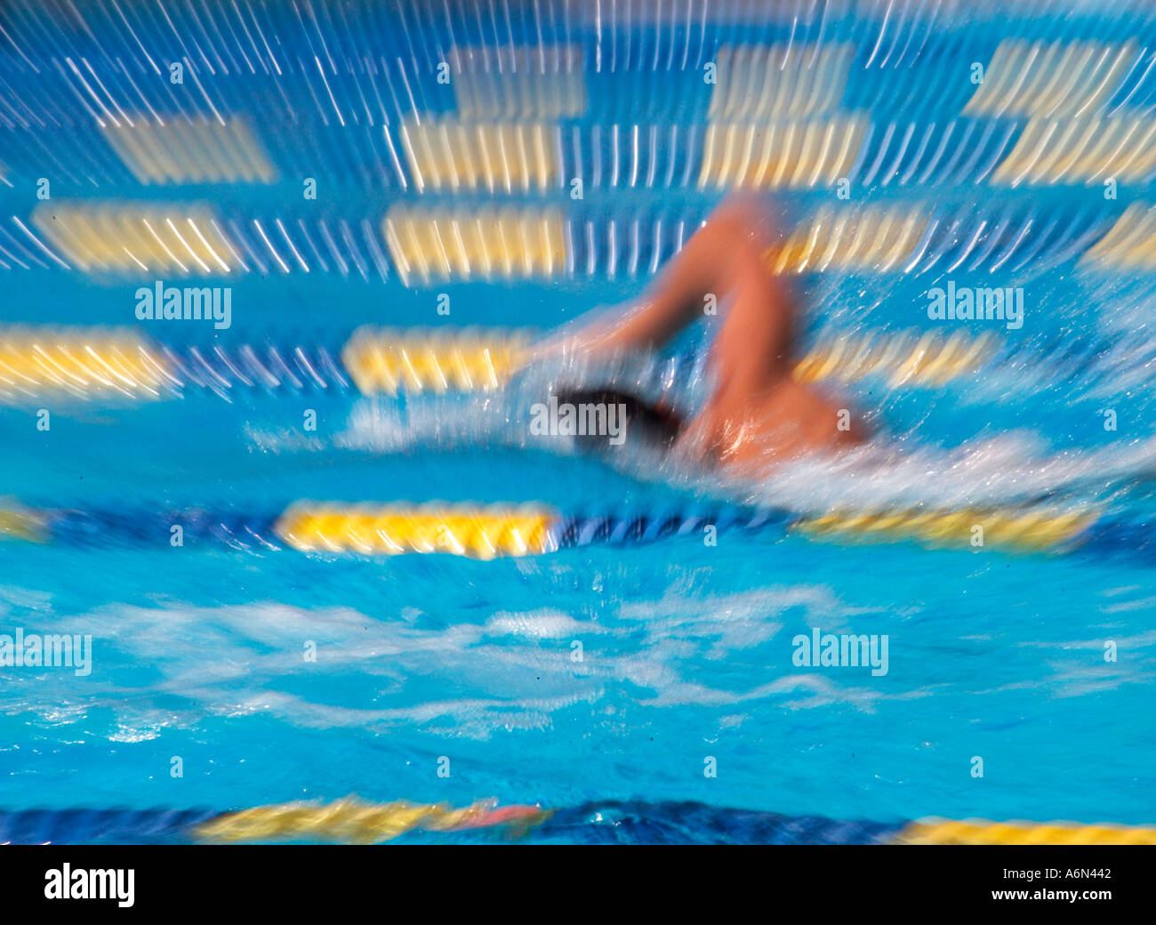 swim race in Olympic pool Stock Photo - Alamy