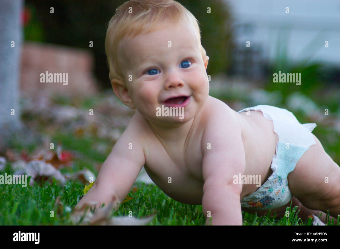 Chirpy faces hi-res stock photography and images - Alamy