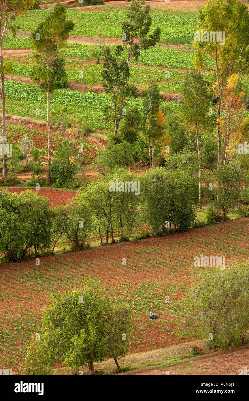 Mt chicon hi-res stock photography and images - Alamy