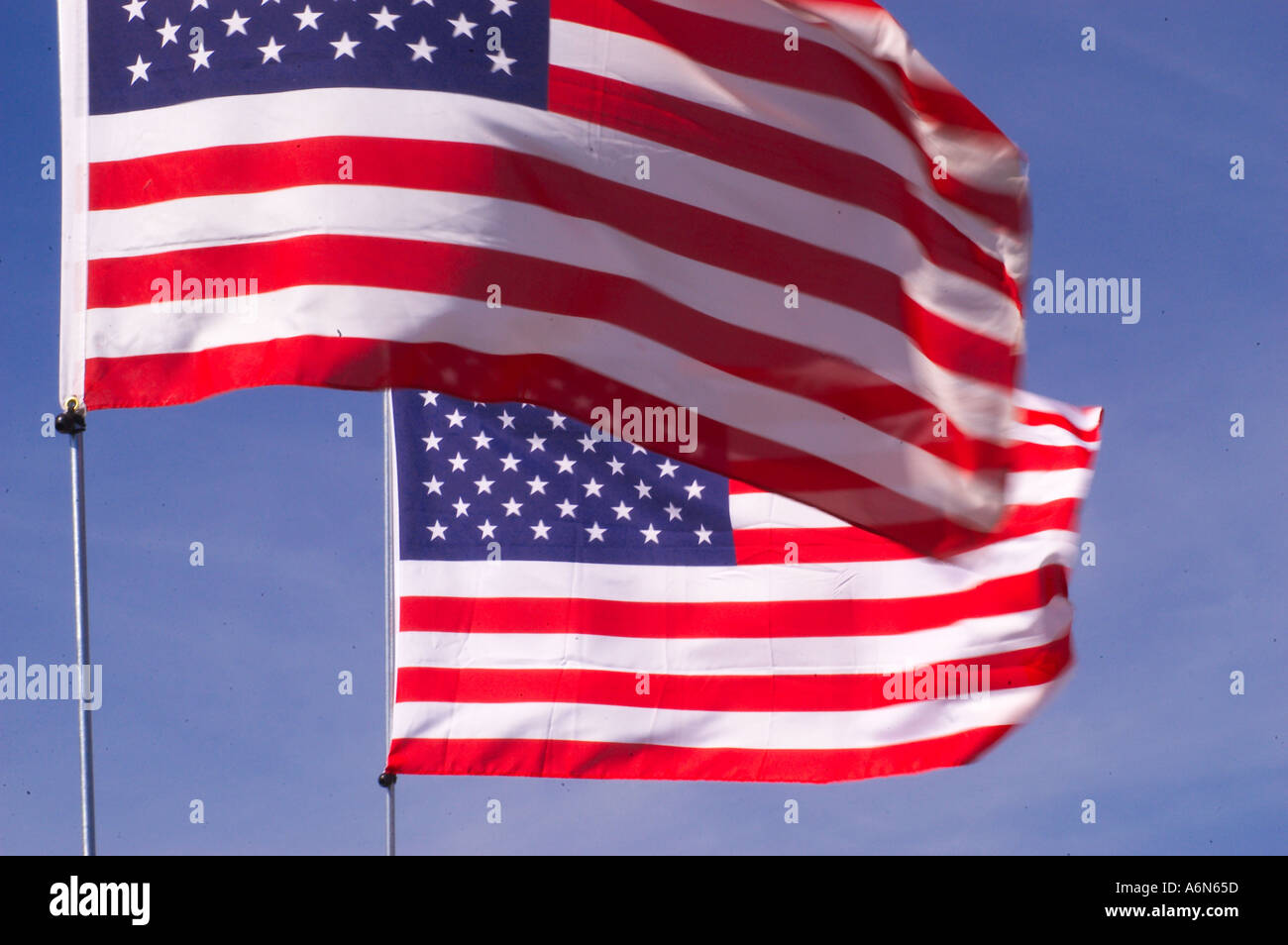 USA flags blowing in the wind Stock Photo - Alamy