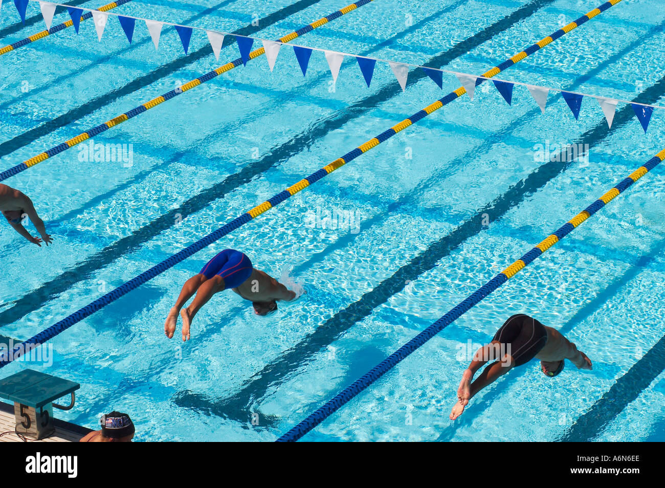 race start Olympic pool with lanes Stock Photo - Alamy