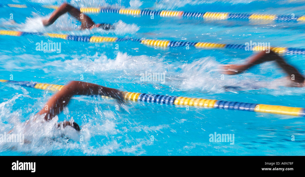 swim race in Olympic pool Stock Photo - Alamy