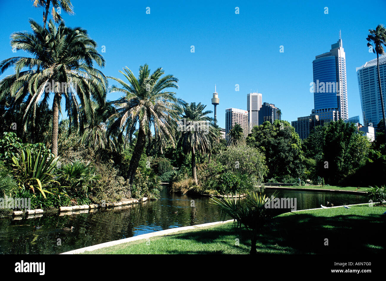 Botanical Gardens Sydney Australia Stock Photo - Alamy