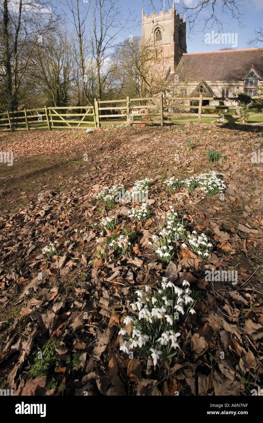 St leonard’s church beoley hi-res stock photography and images - Alamy
