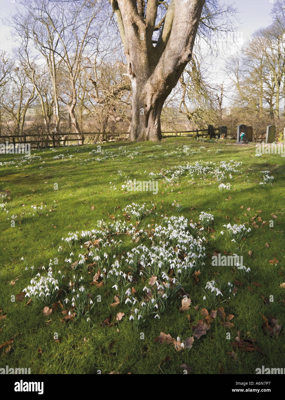St leonard’s church beoley hi-res stock photography and images - Alamy