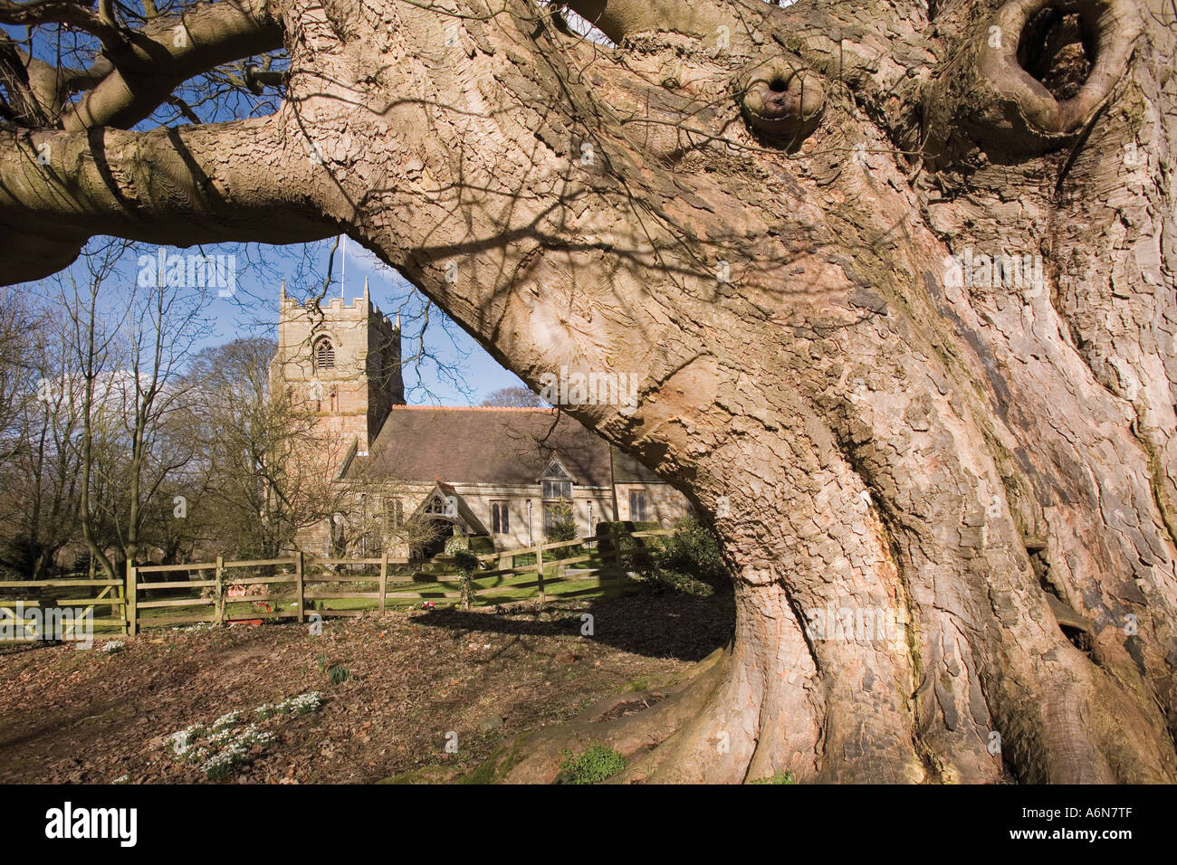 St Leonards Church Beoley Worcestershire Stock Photo - Alamy
