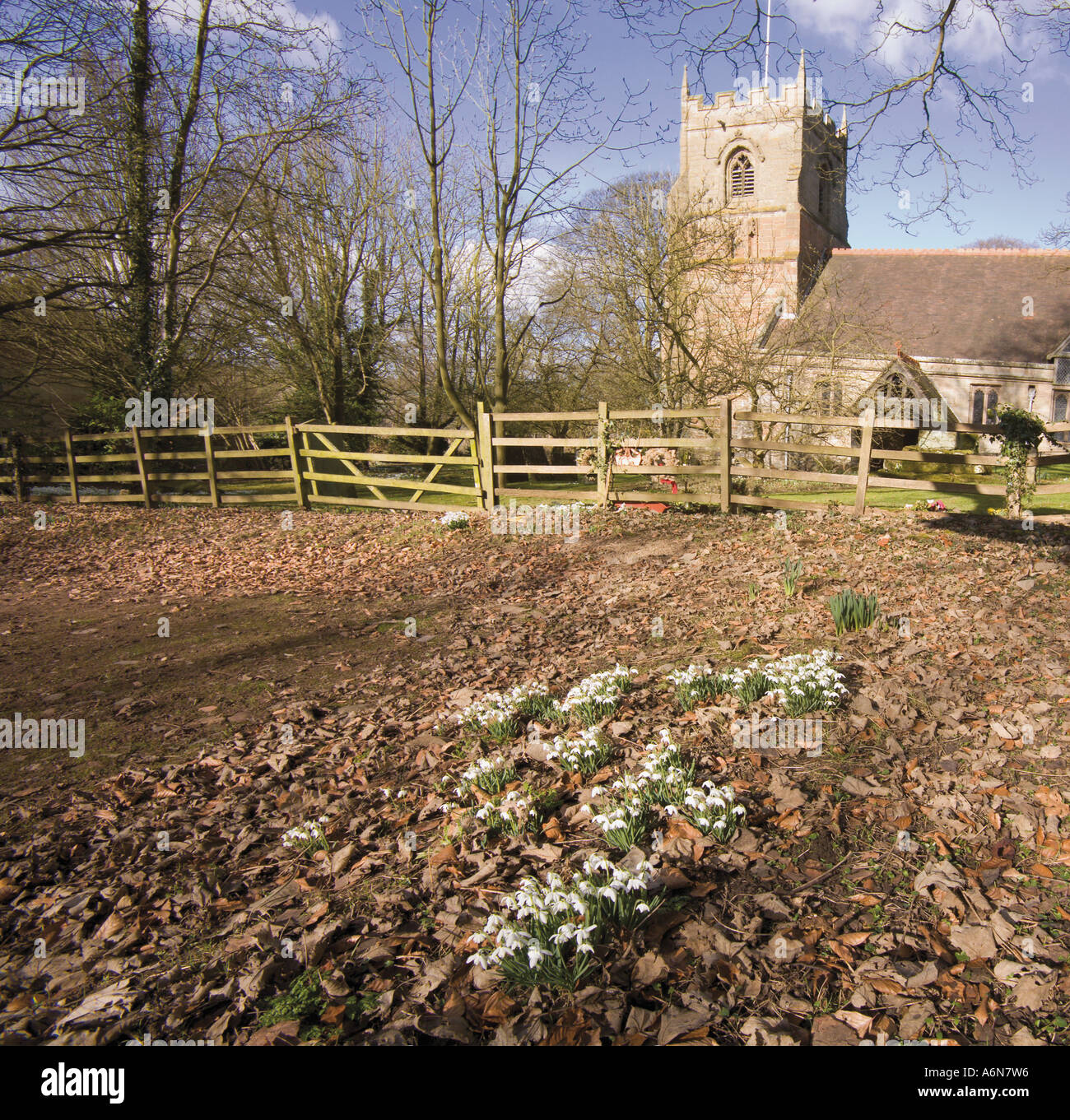St Leonards Church Beoley Worcestershire Stock Photo - Alamy