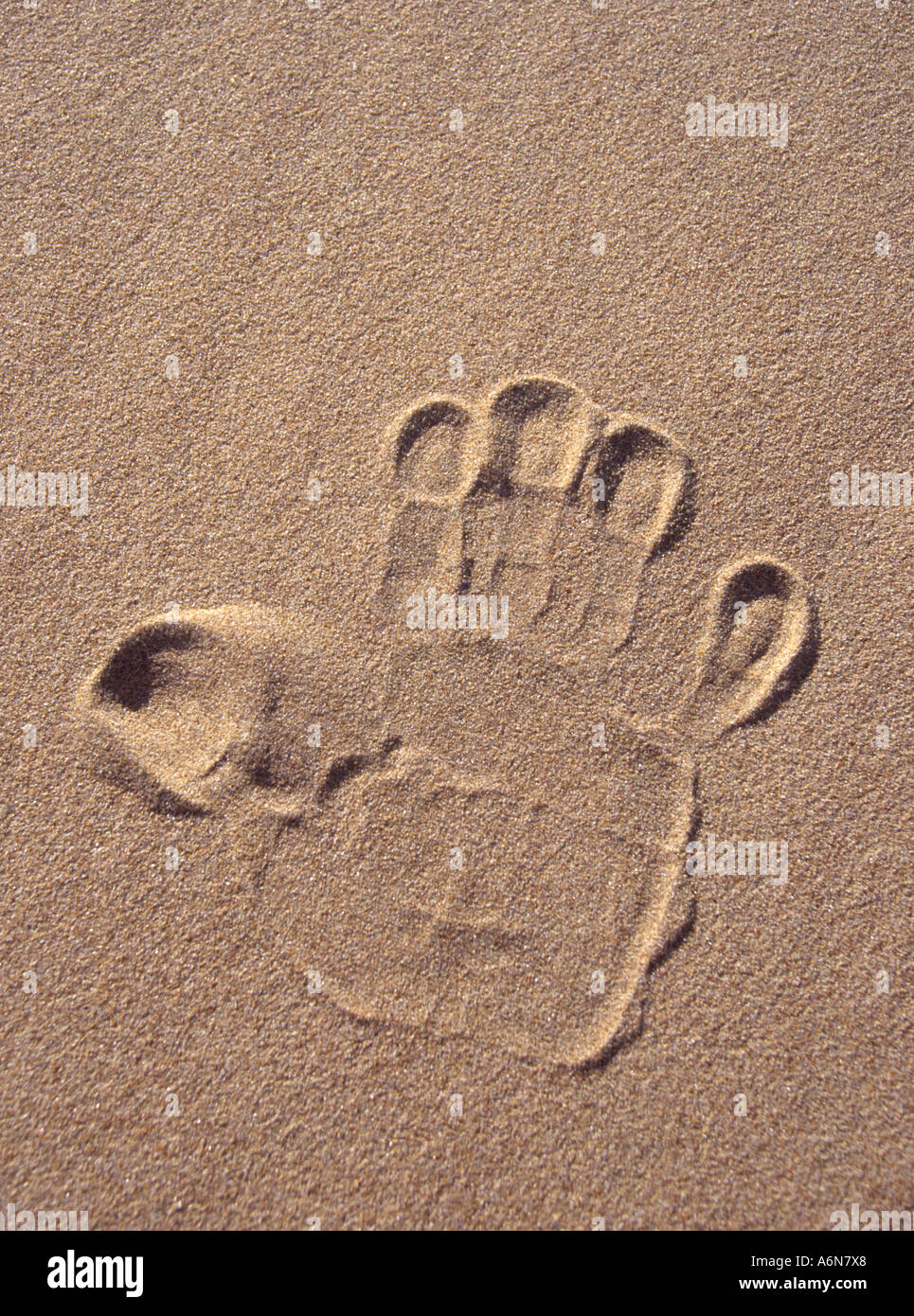 Hand Print in Sand Stock Photo - Alamy