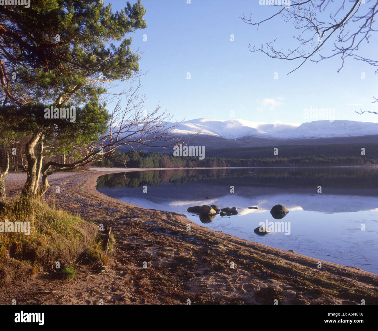 Loch Morlich Inverness-shire Stock Photo - Alamy