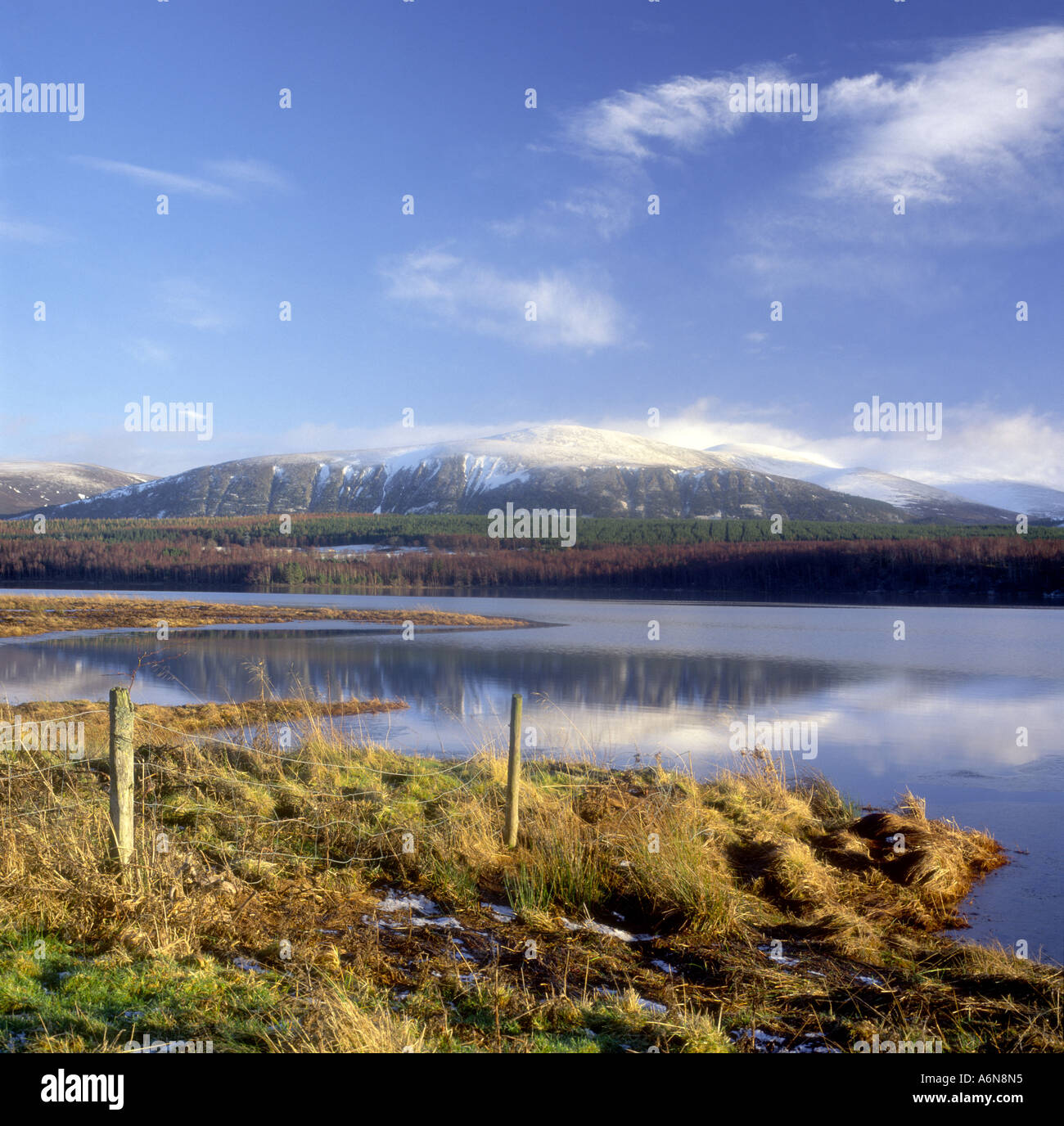 Loch insh sailing hi-res stock photography and images - Alamy