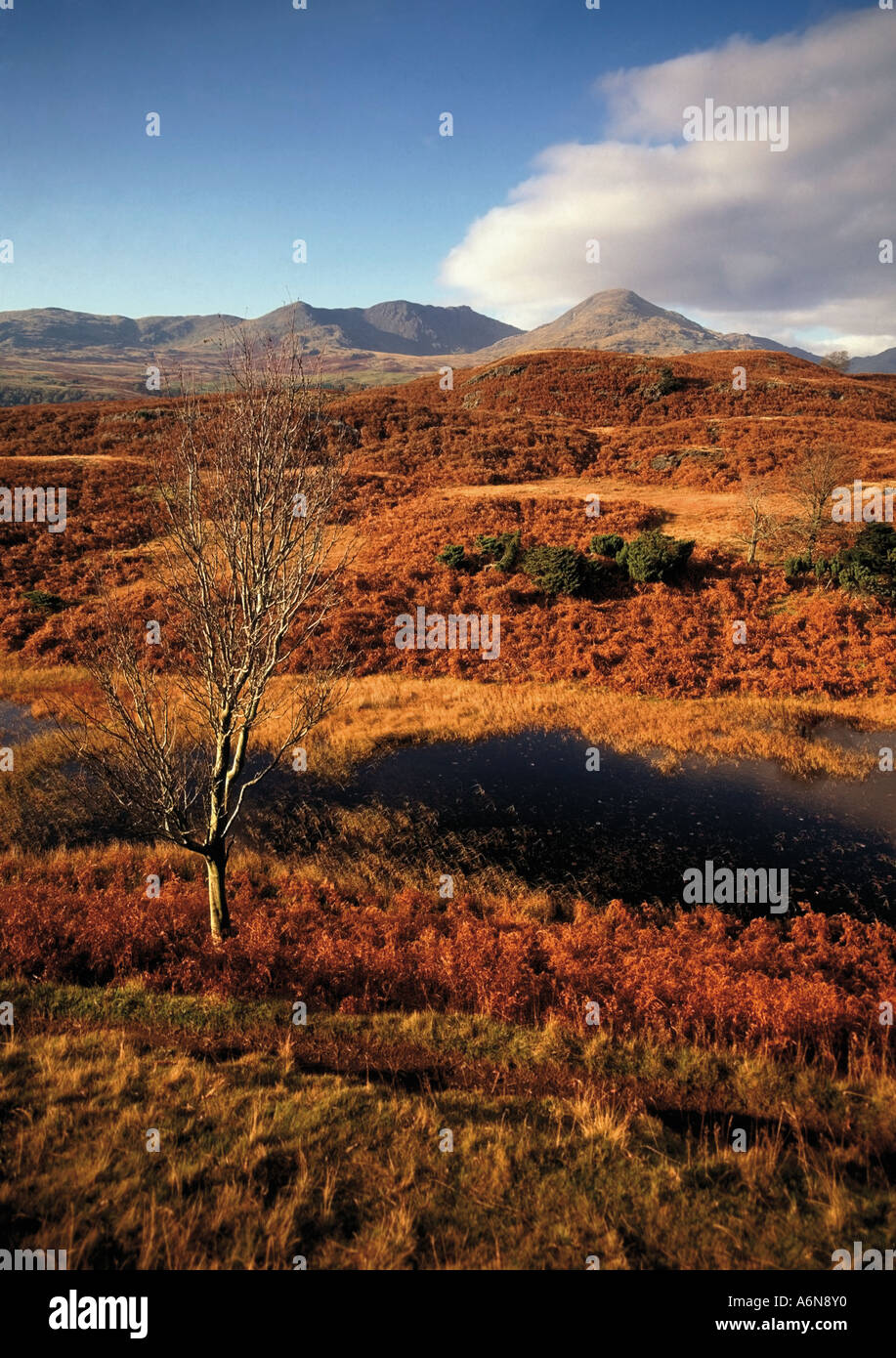 coniston fells dow crag and coniston old man kelly hall tarn lake ...