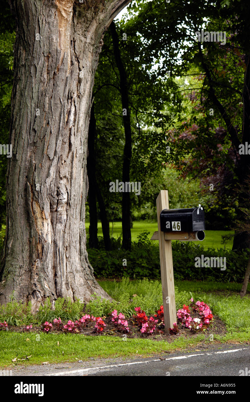Tree and mailbox Stock Photo - Alamy