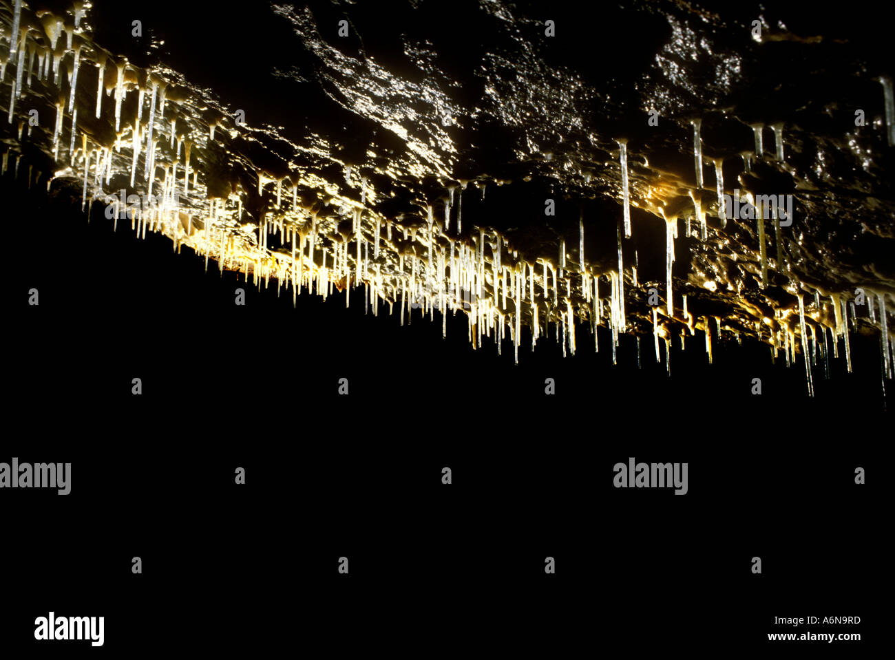 Hanging on cave roof hi-res stock photography and images - Alamy