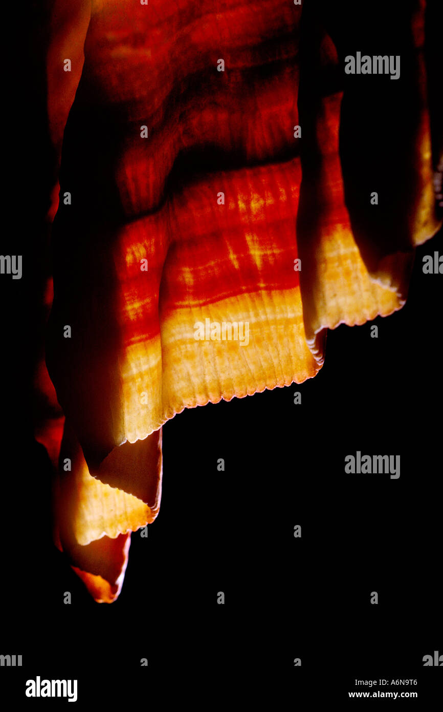 Rock iron staining hi-res stock photography and images - Alamy