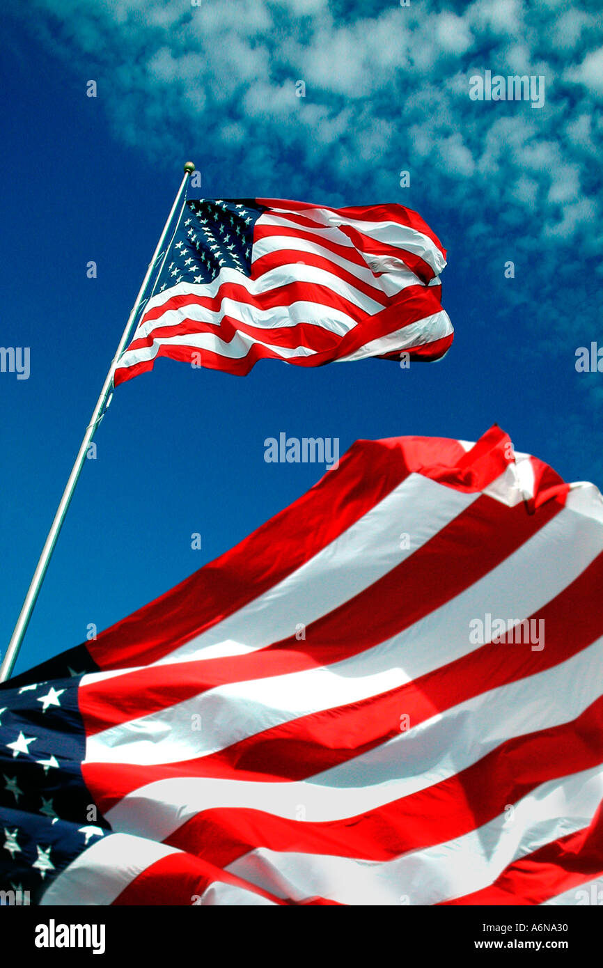 American flags in the wind Stock Photo - Alamy