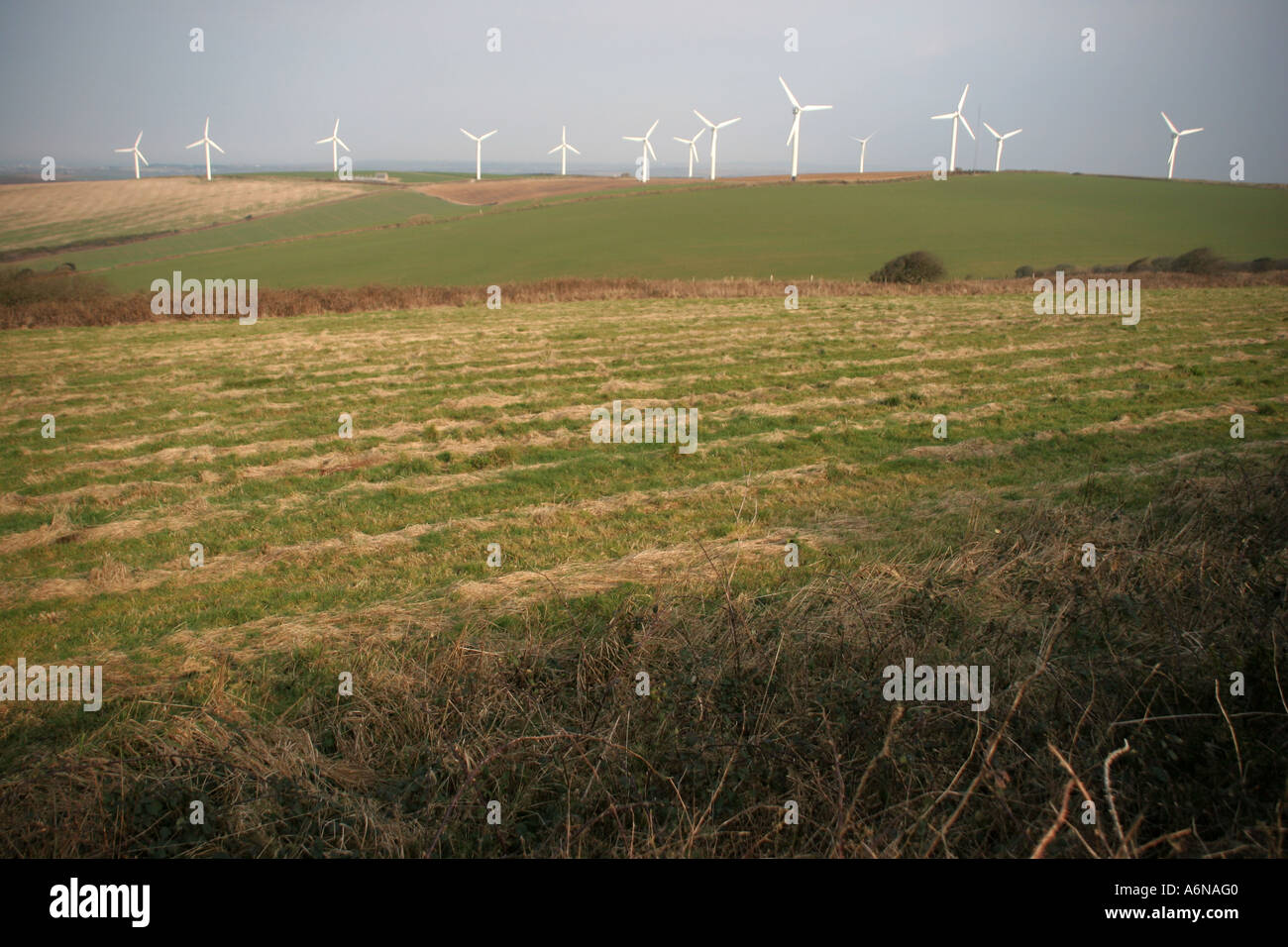 Wind farm in Cornwall Stock Photo - Alamy