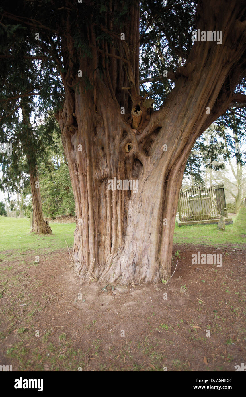 Tardebigge churchyard Worcestershire the Midlands England Stock Photo ...
