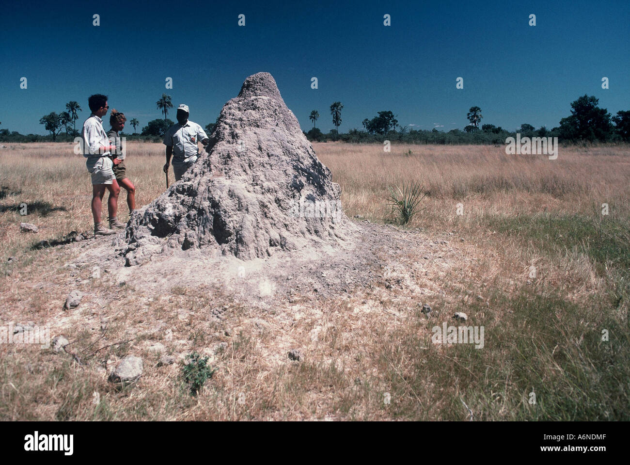 Makololo walking safari Stock Photo - Alamy